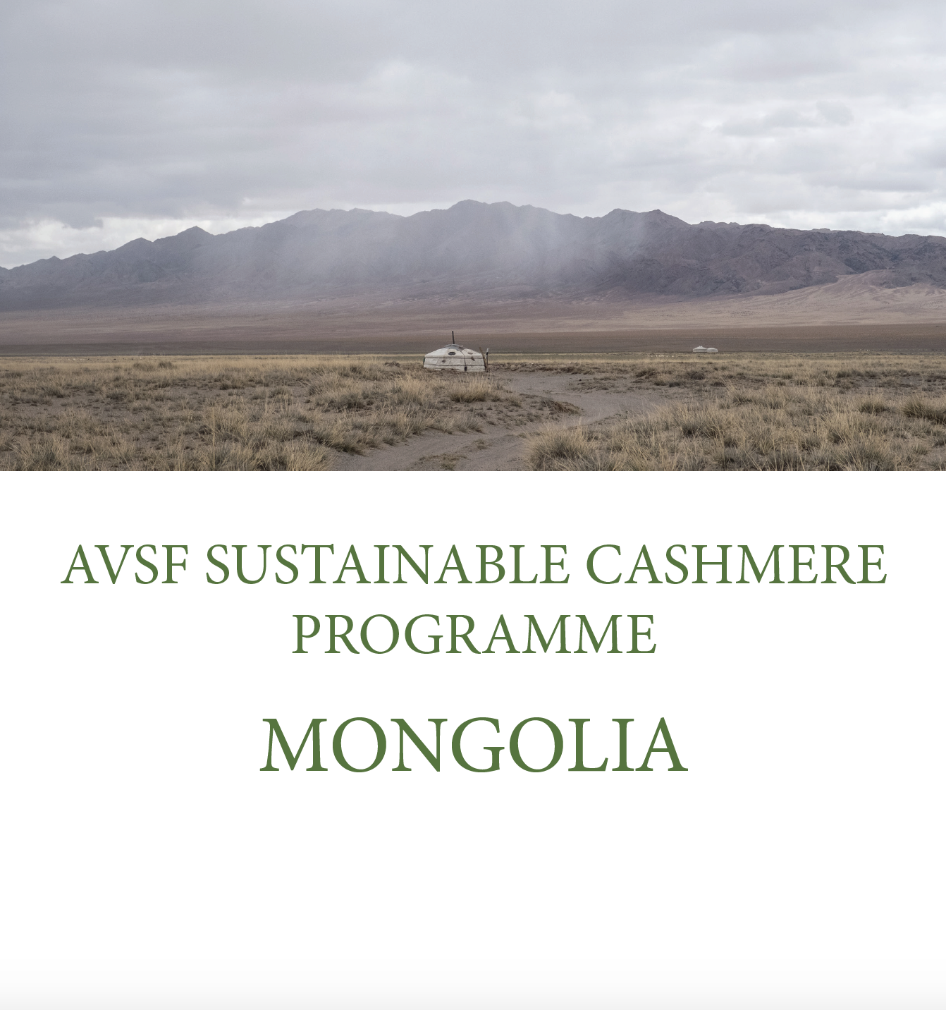 AVSF Sustainable Cashmere Programme in Mongolia › | SWITCH-Asia
