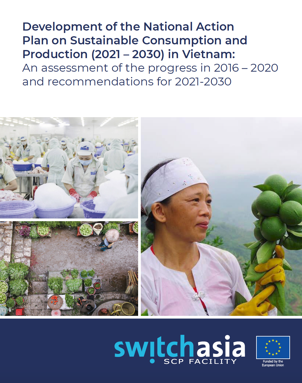 Assessment of SCP Progress in Vietnam (2016-2020) › | SWITCH-Asia