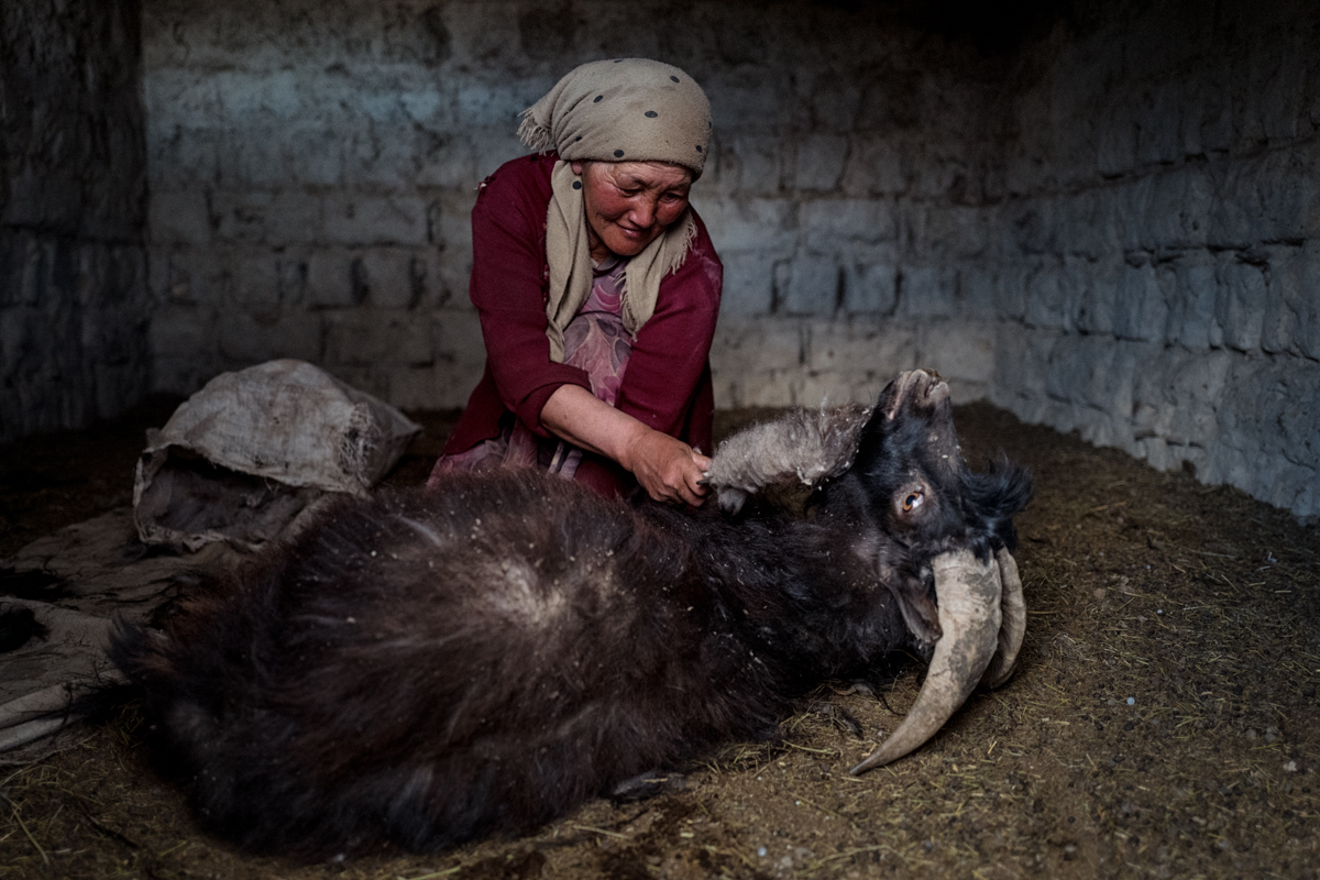 The True Cost of Cashmere › Resource Library | SWITCH-Asia