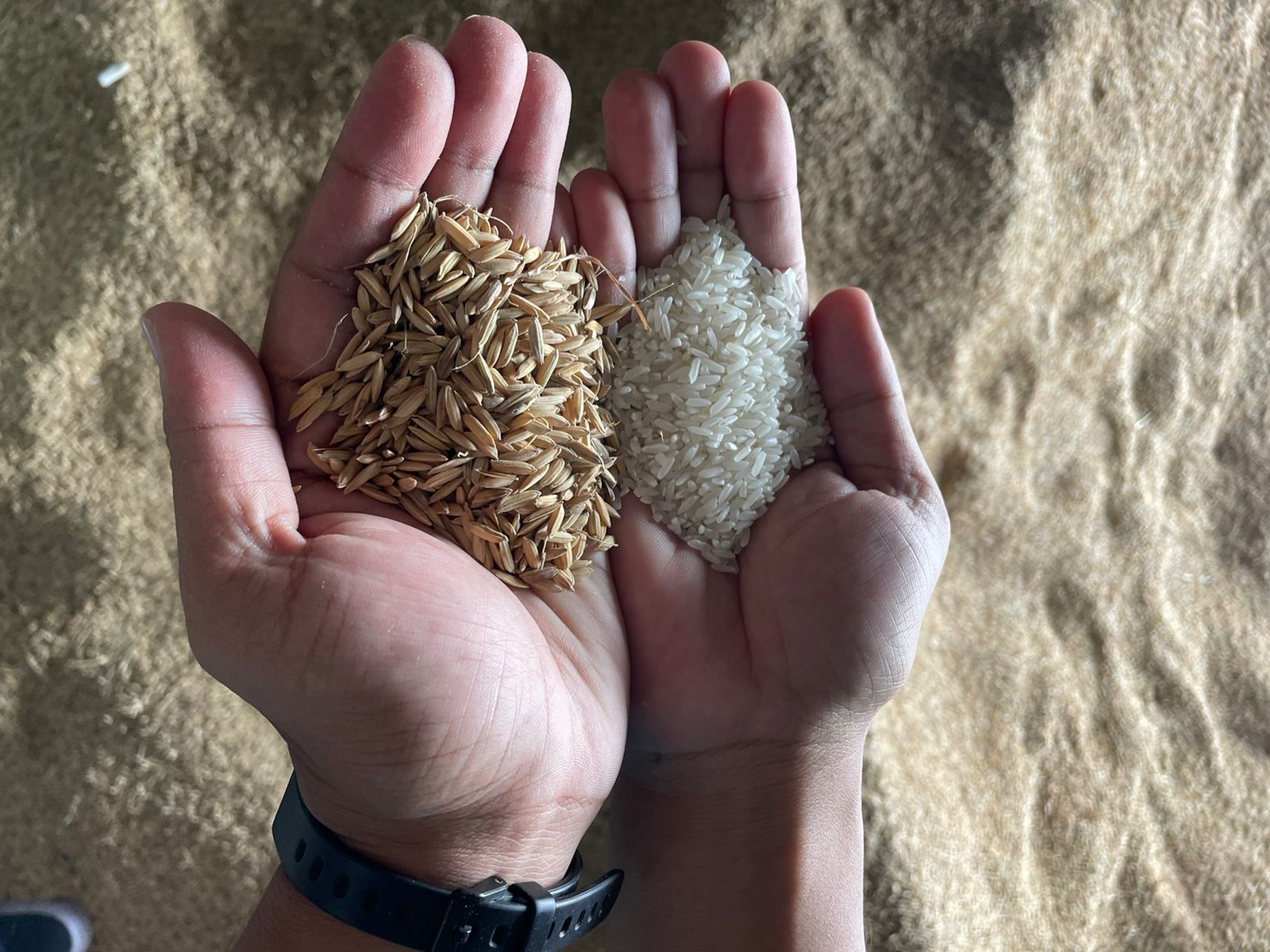 Low Carbon Rice › GRANTS PROGRAMME | SWITCH-Asia