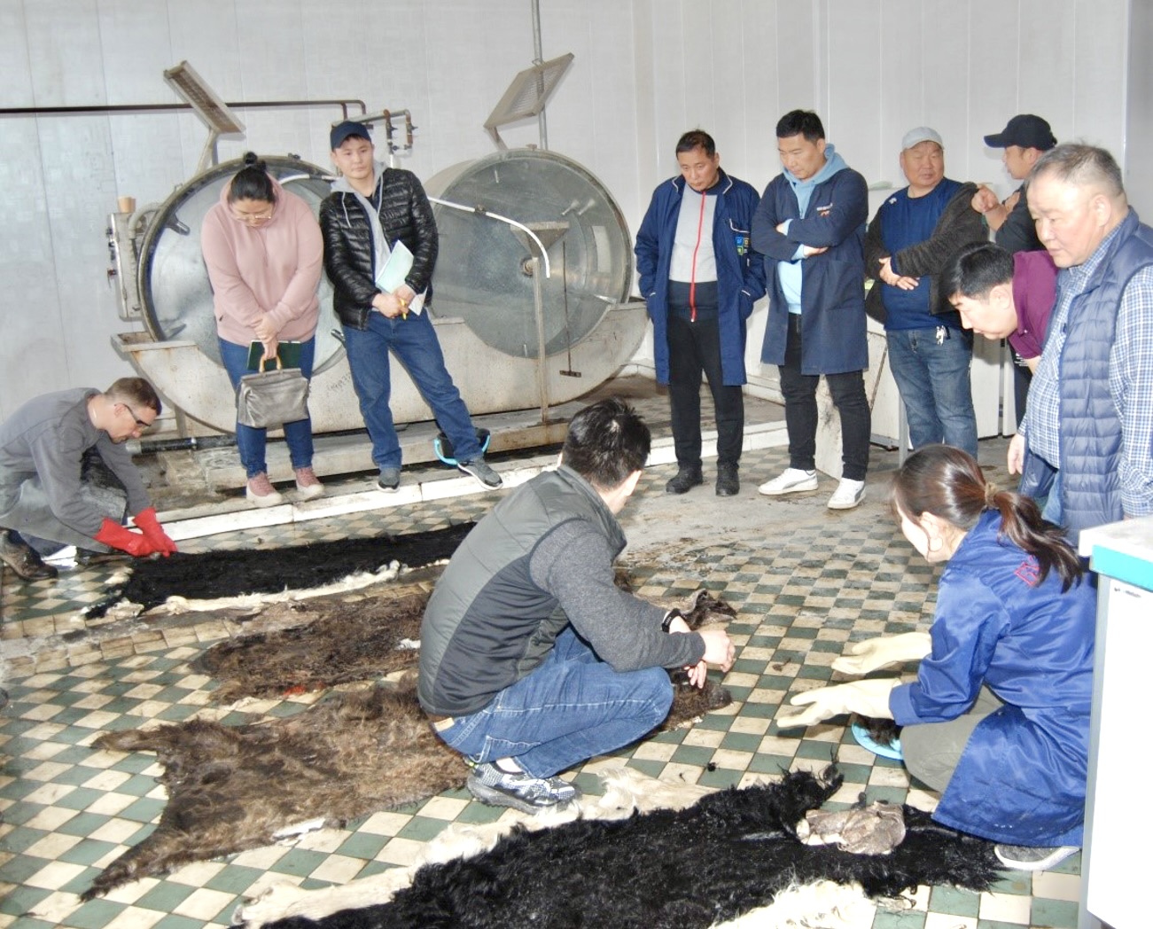 Yak Leather Industry in Mongolia taking steps towards sustainability ...