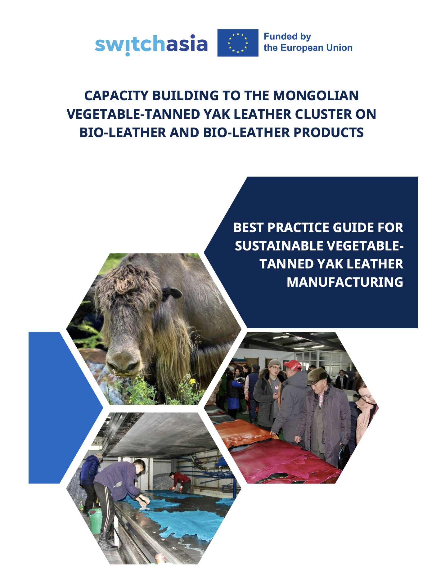 Best Practice Guide for Sustainable Vegetable-Tanned Yak Leather ...