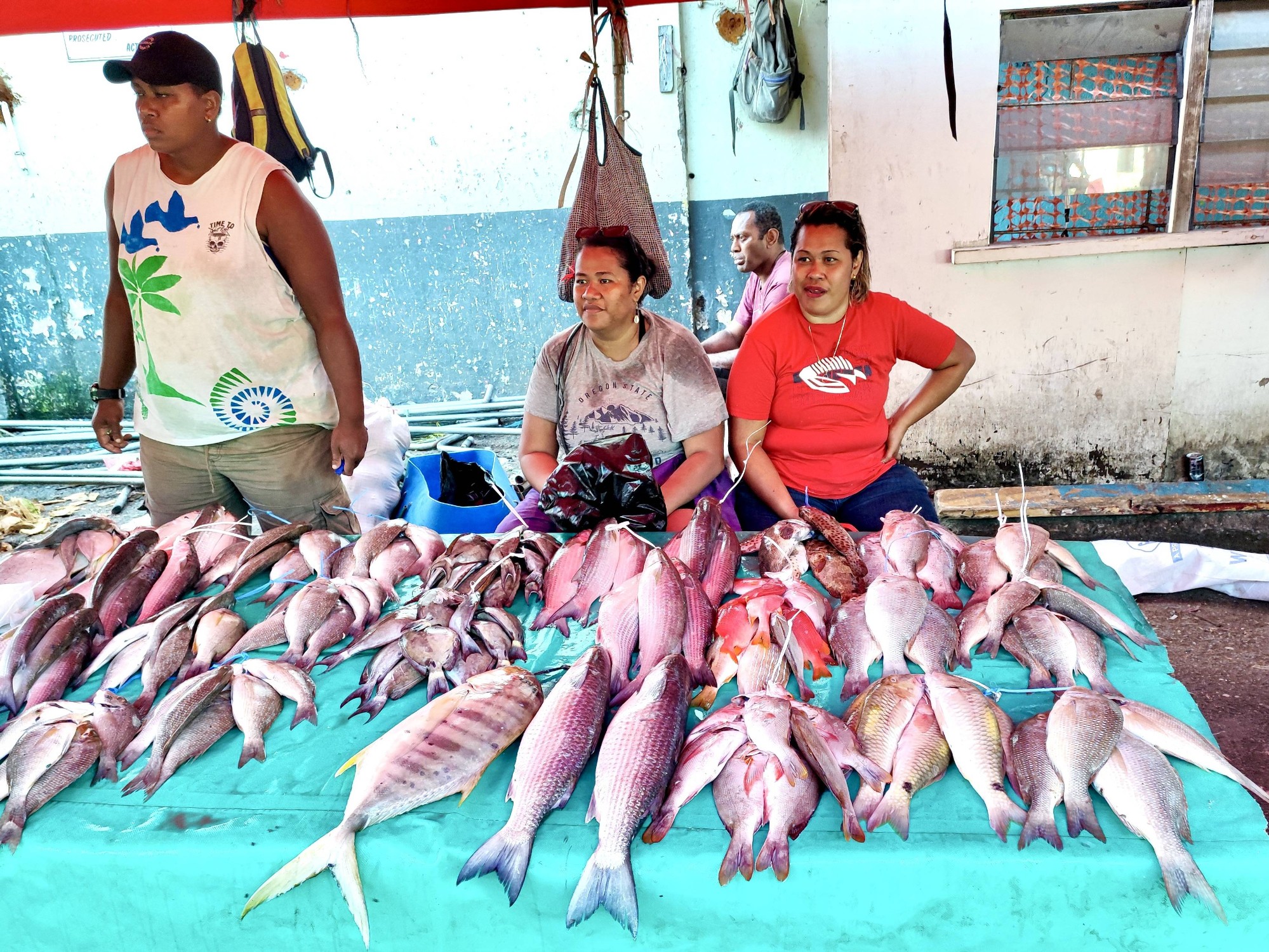Fiji Blue Fishing Project kicks off in Suva › | SWITCH-Asia