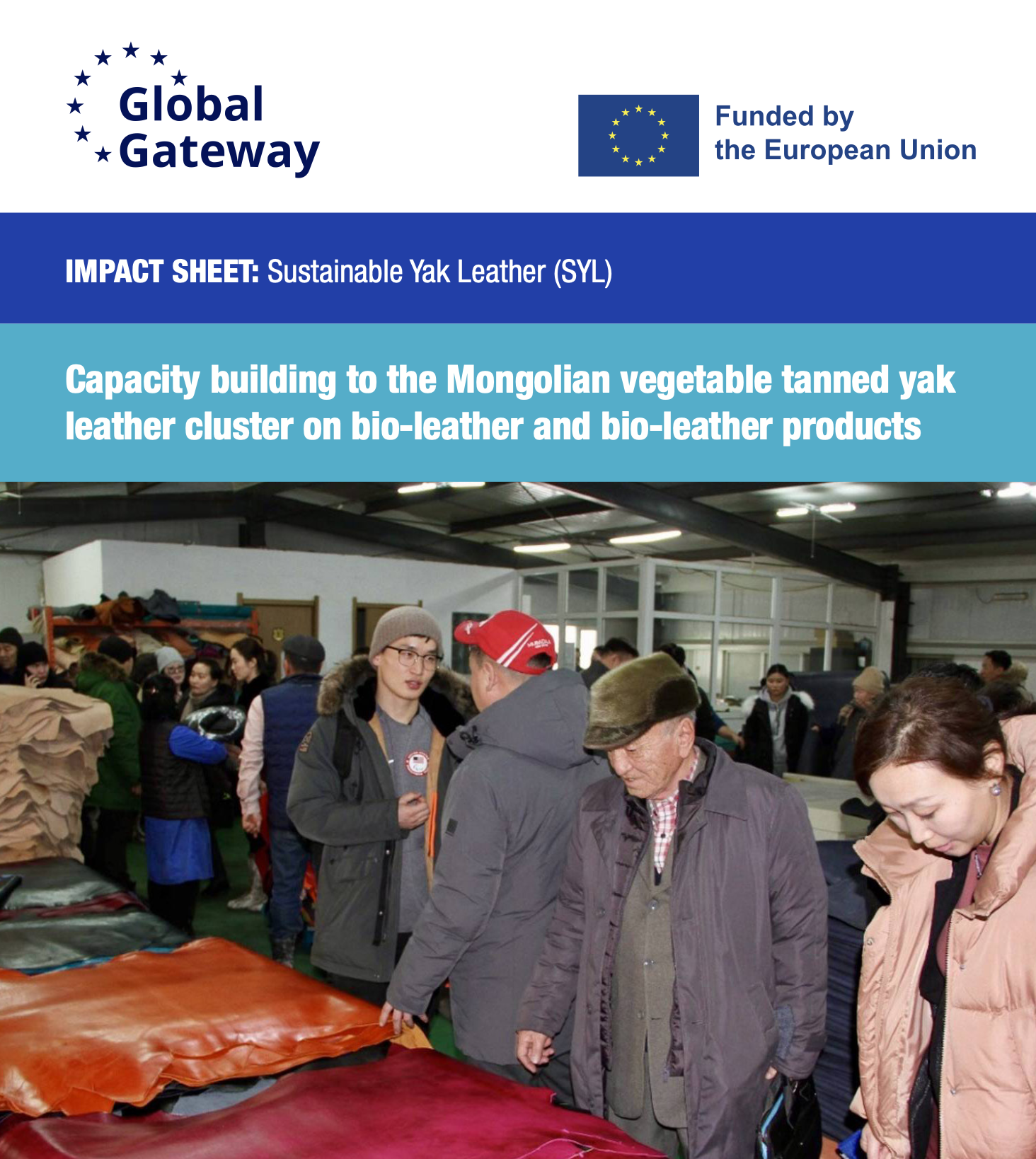 Impact Sheet: Capacity building to the Mongolian vegetable tanned yak ...
